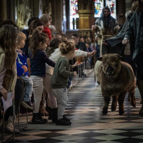 Christmas Eve Crib Services | Worcester Cathedral